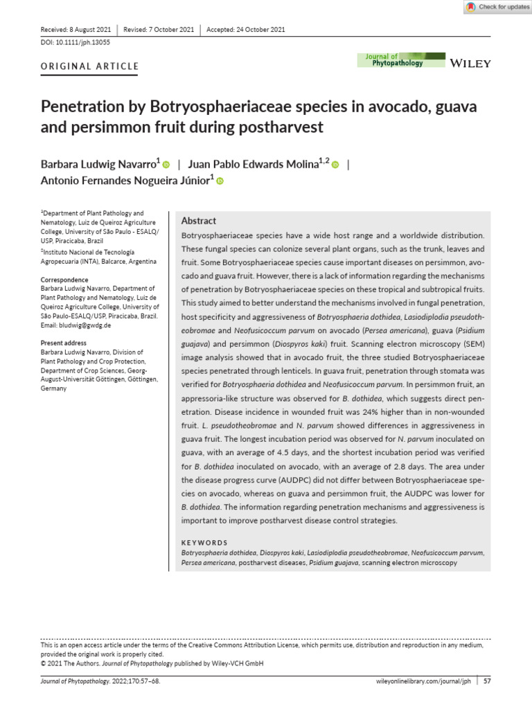Journal of Phytopathology - 2021 - Navarro - Penetration by ...