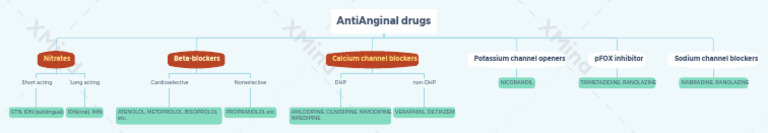 Antianginal Drugs Classification | PDF