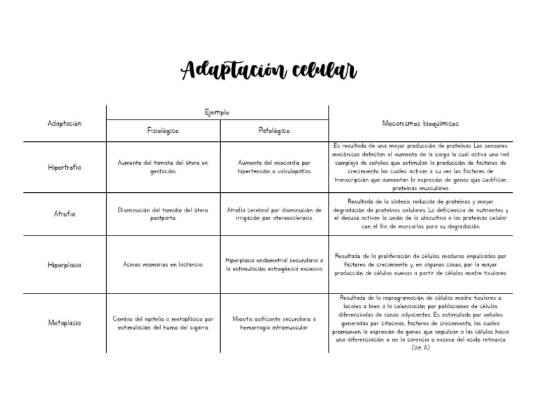 Tabla de adaptación celular | PDF | Atrofia | Proteínas