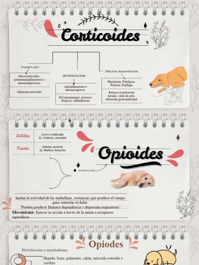 Galgo | PDF | Analgésico | Fentanilo