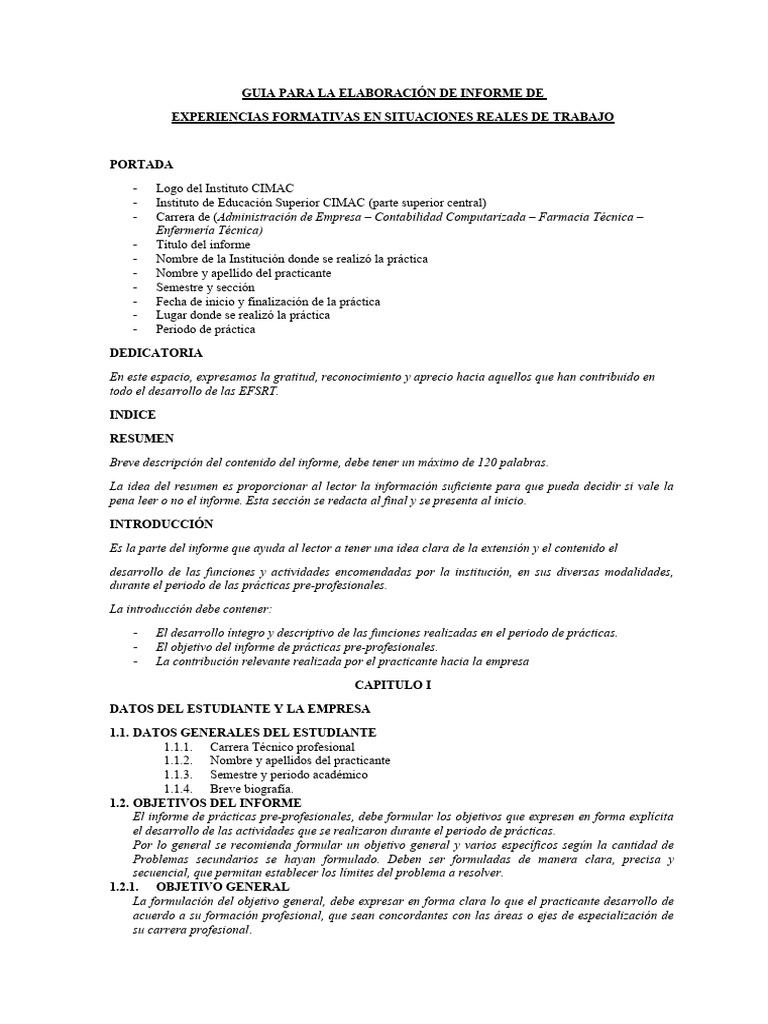 Guia para La Elaboración de Informe de Efsrt 2024 | PDF