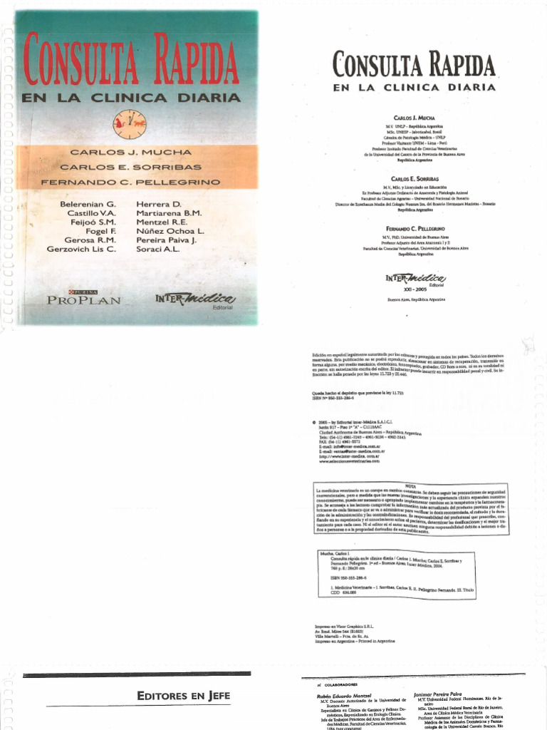 CONSULTA RAPIDA p1 | PDF