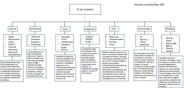 Mapa Conceptual Filosofia Nicolas Correcha Paez | PDF