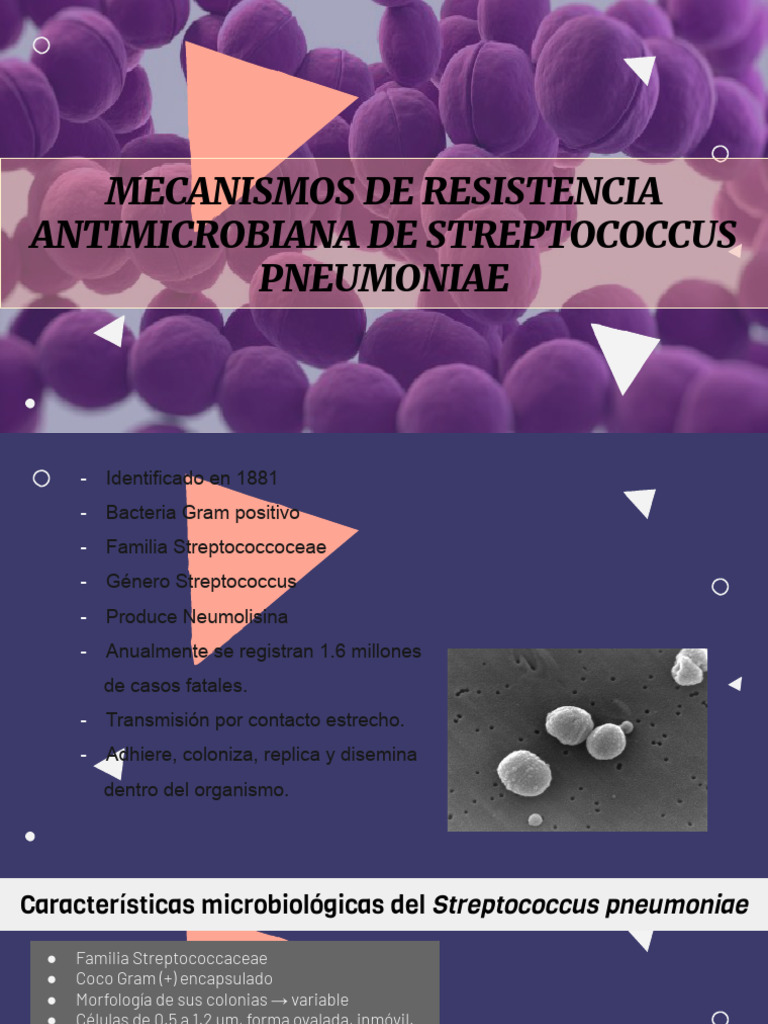 Streptococcus Pneumoniae | PDF | Estreptococo | Penicilina