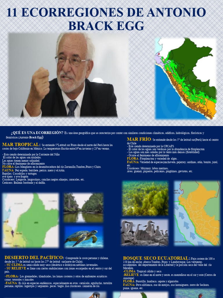 11 Ecorregiones de Antonio Brack Egg 12 | PDF | Andes | Zona tropical