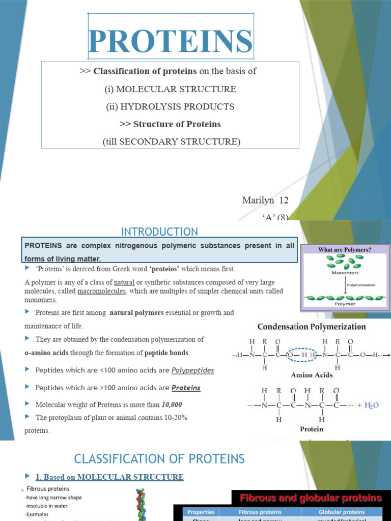 Proteins | PDF | Proteins | Polymers