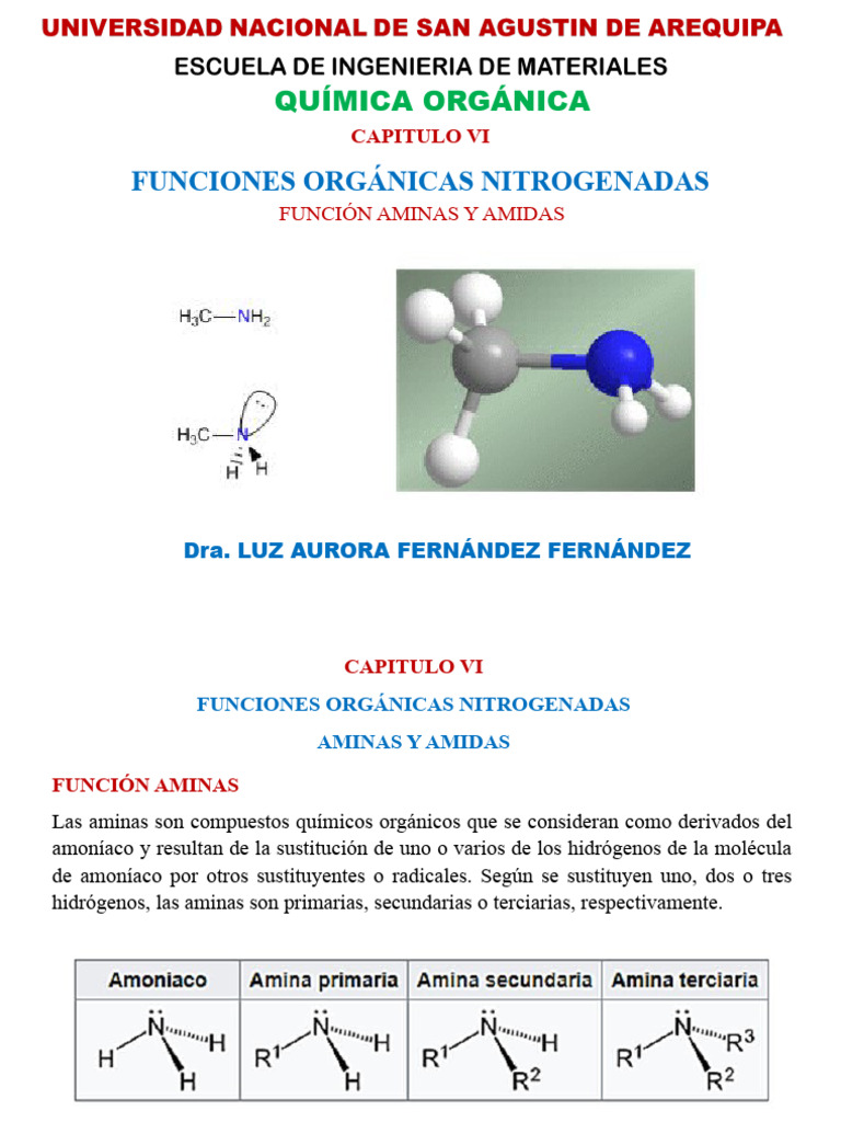 CAPITULO VI Funciones Organicas Nitrogenadas | PDF | Amina | Amida