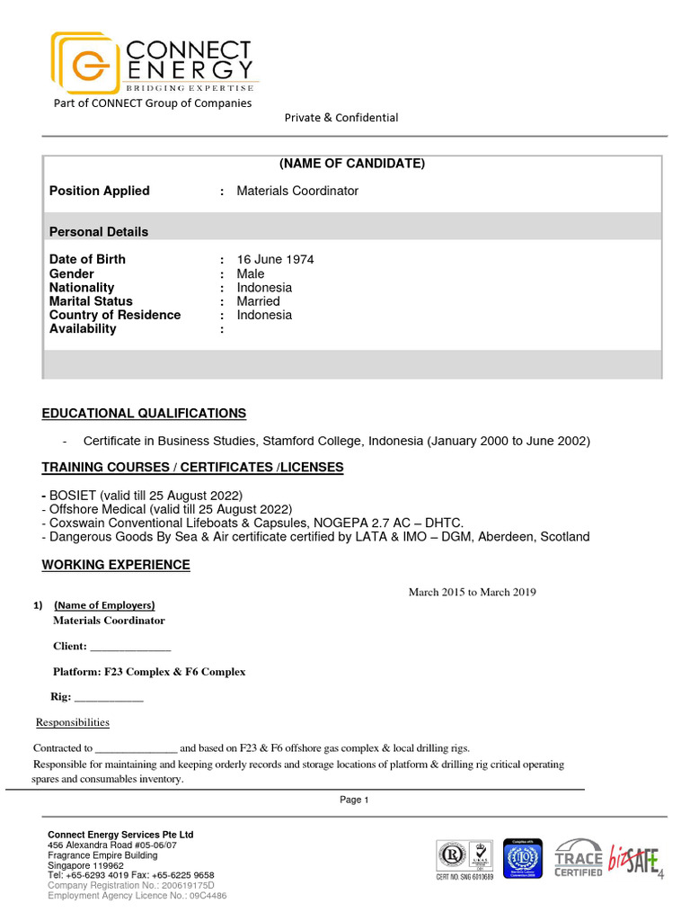 CV - Sample - Dev - 1 | PDF
