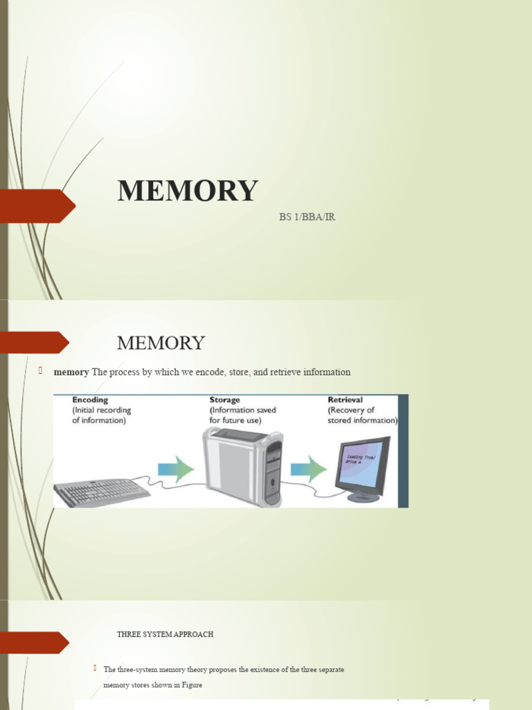 Memory | PDF | Memory | Long Term Memory