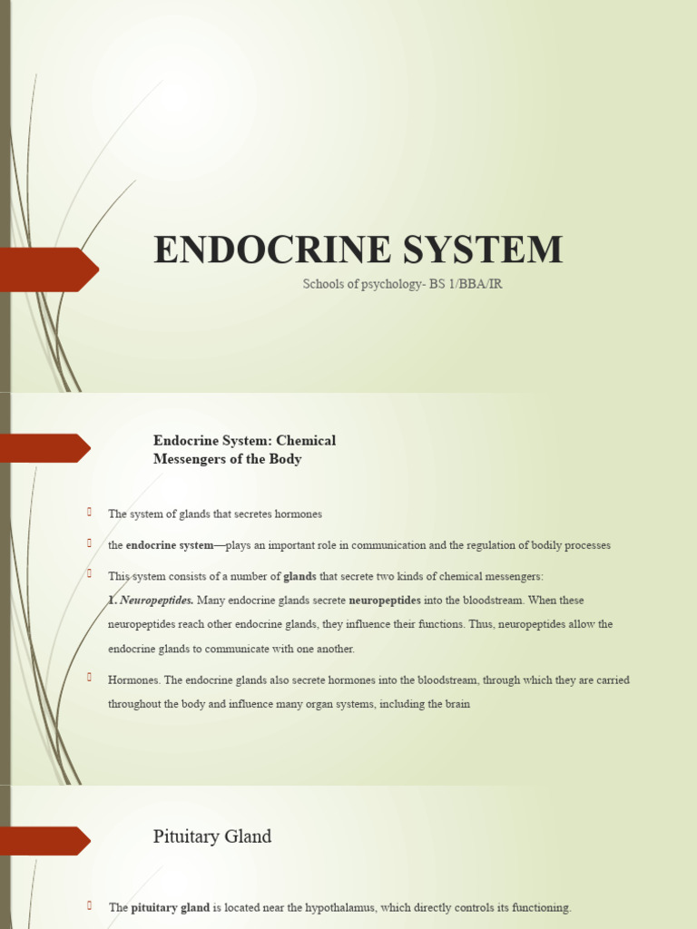 Endocrine System | PDF | Endocrine System | Hormone