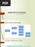 Pathfinder Story | PDF