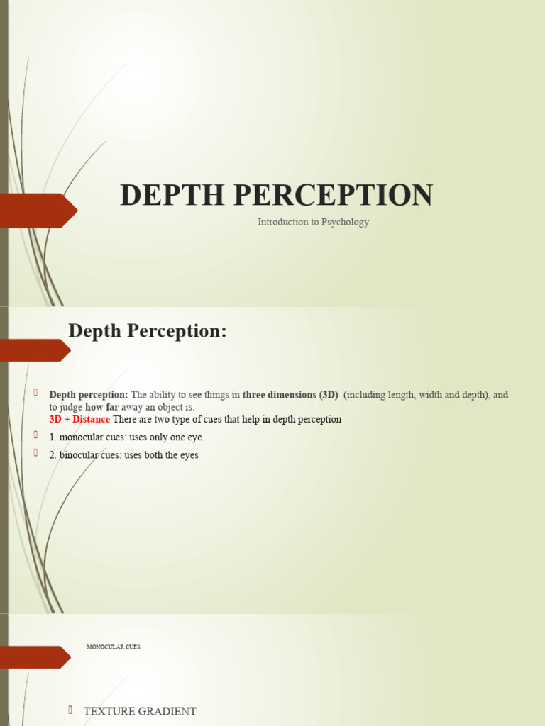 Depth Perception | PDF | Electromagnetic Radiation | Senses