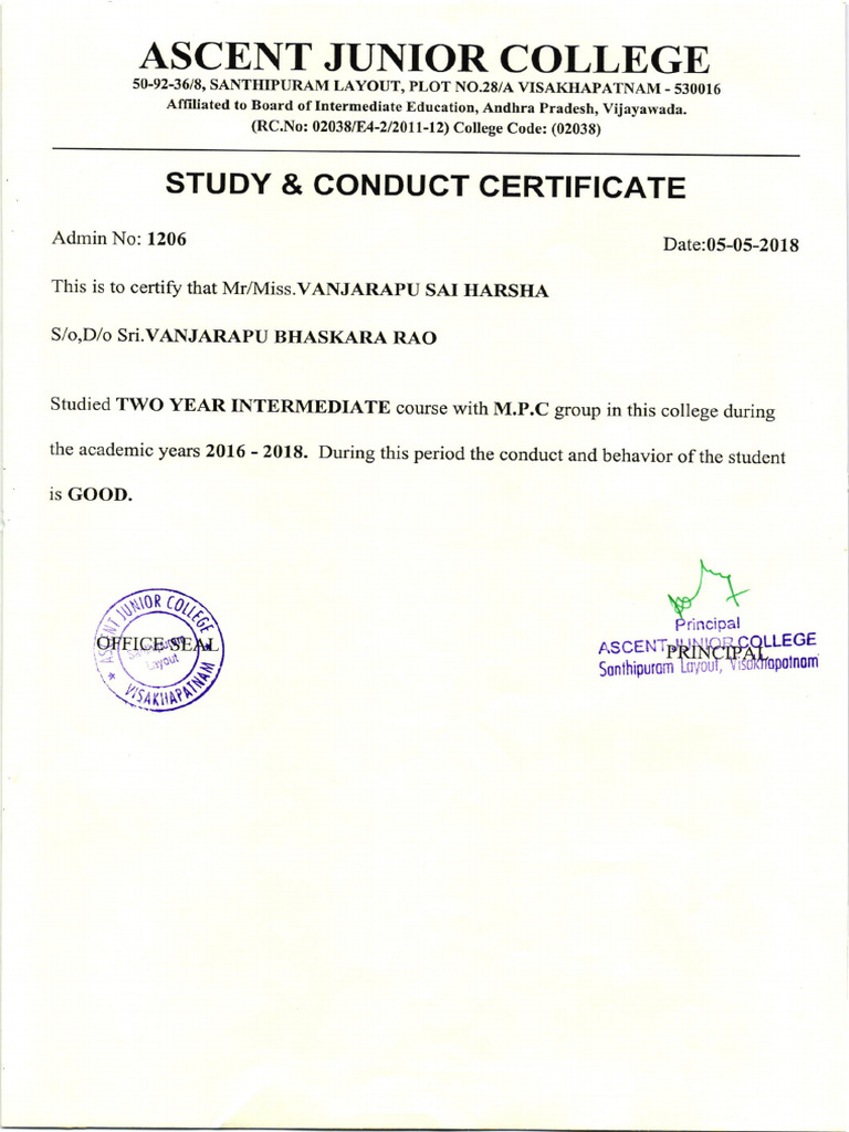 Ascent: Junior | PDF