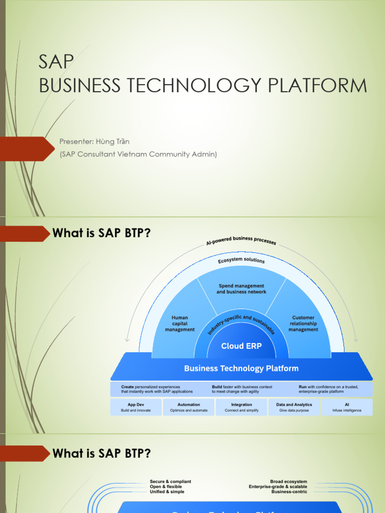 SAP BTP vn2023 | PDF