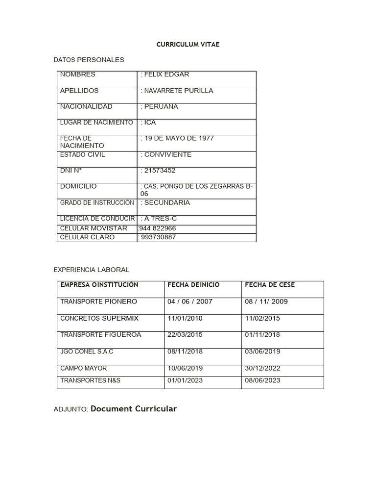 CV Felix Navarrete-2023 | PDF