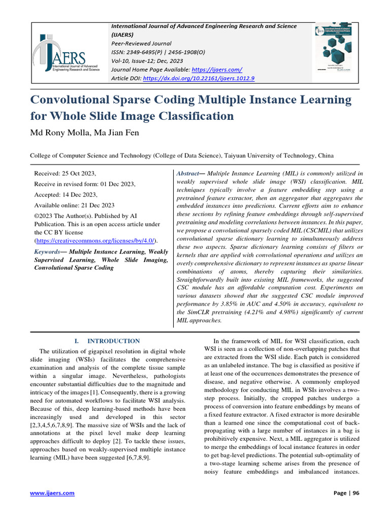 Convolutional Sparse Coding Multiple Instance Learning for Whole Slide Image Classification ...