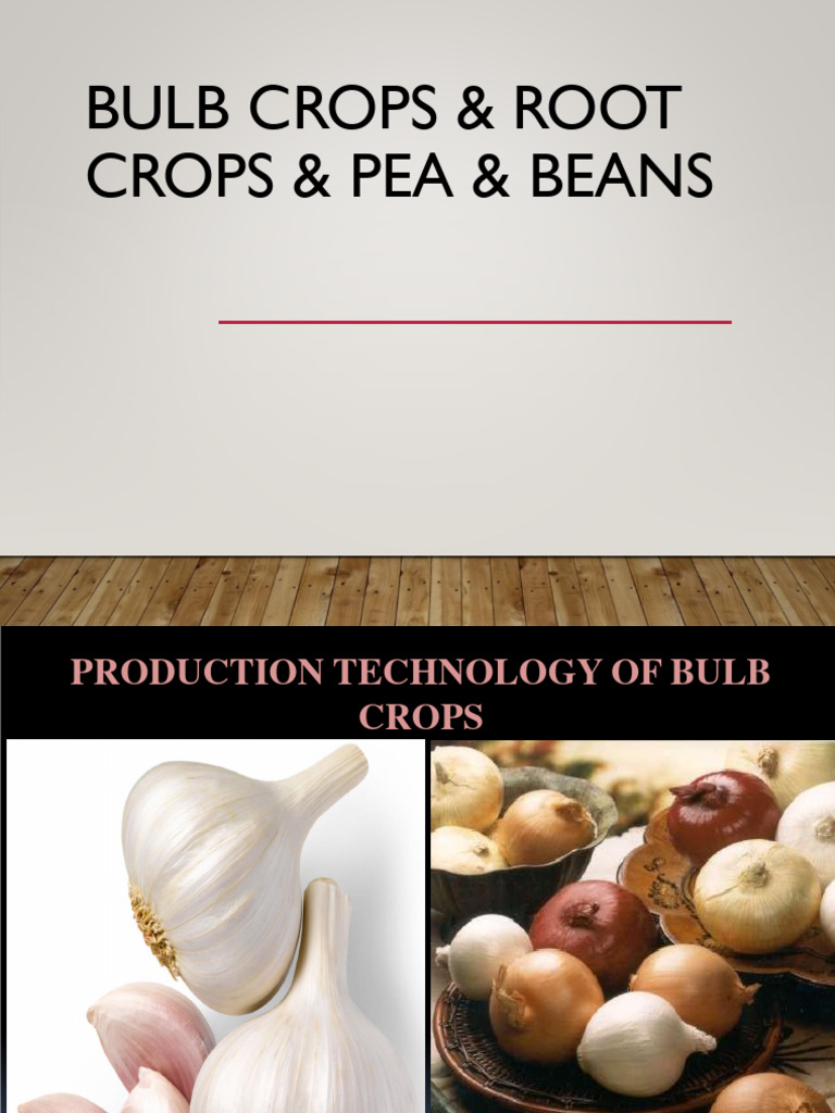 Bulb Crops & Root Crops & Beans & Peas | PDF | Onion | Pea