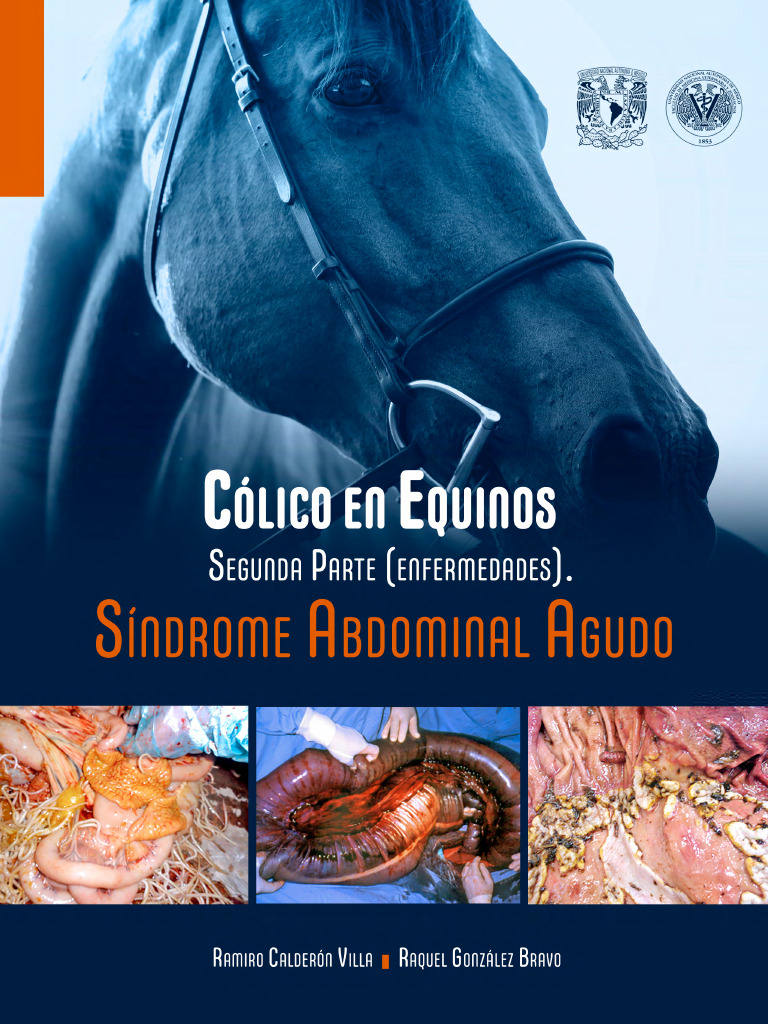 Colico_Equinos_2 | PDF | Estómago | Diarrea