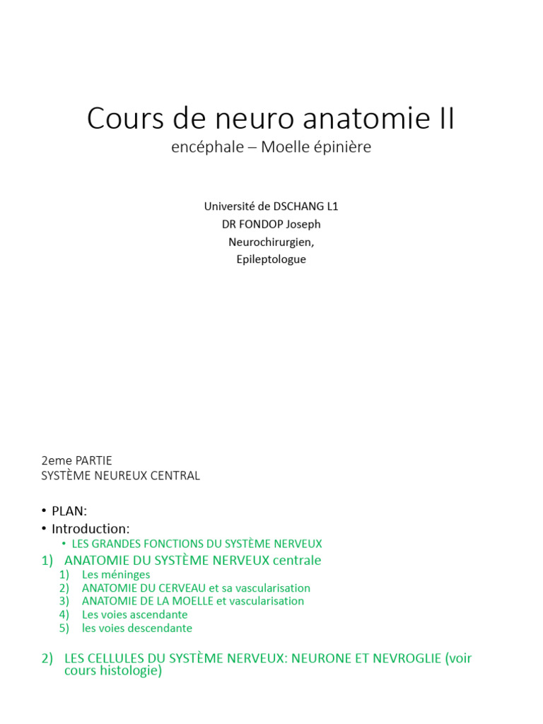 Anatomie de l'encéphale et moelle épinière | PDF | Système nerveux ...