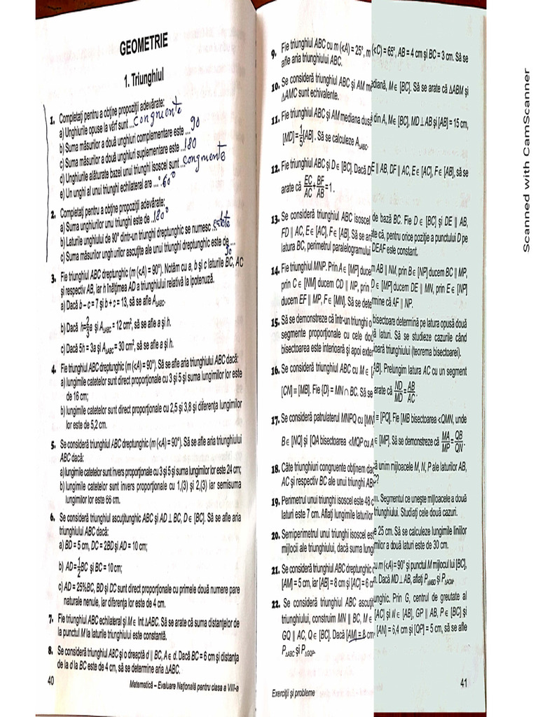Geometria Booclet 2 Probleme | PDF