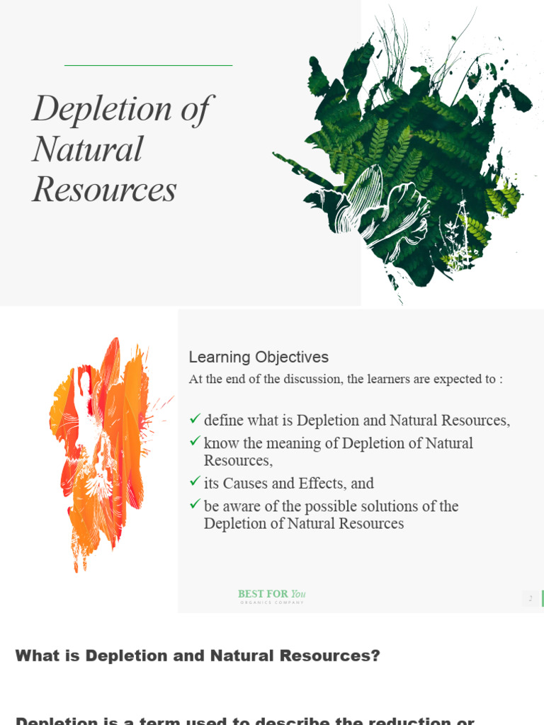 Depletion of Natural Resources | PDF | Resource Depletion | Resource