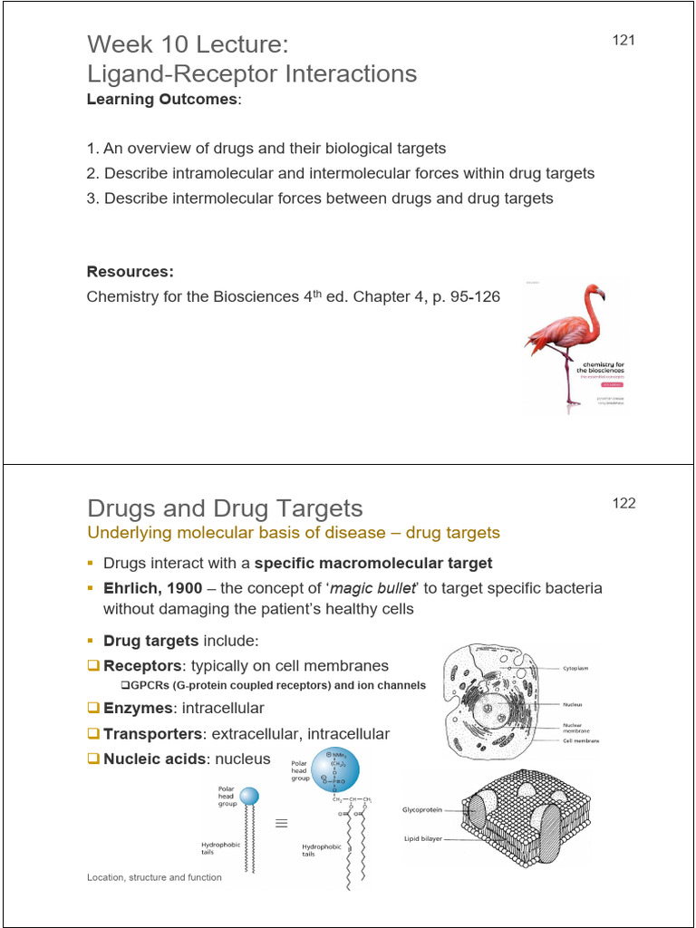 Week 10 - Ligand-Receptor Interactions - 2 Slides Per Page | PDF