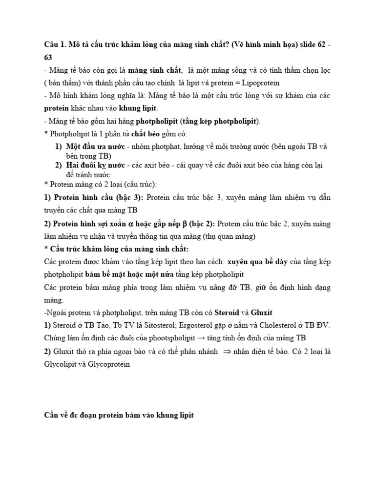 Đề Cương Sinh Học VVH | PDF