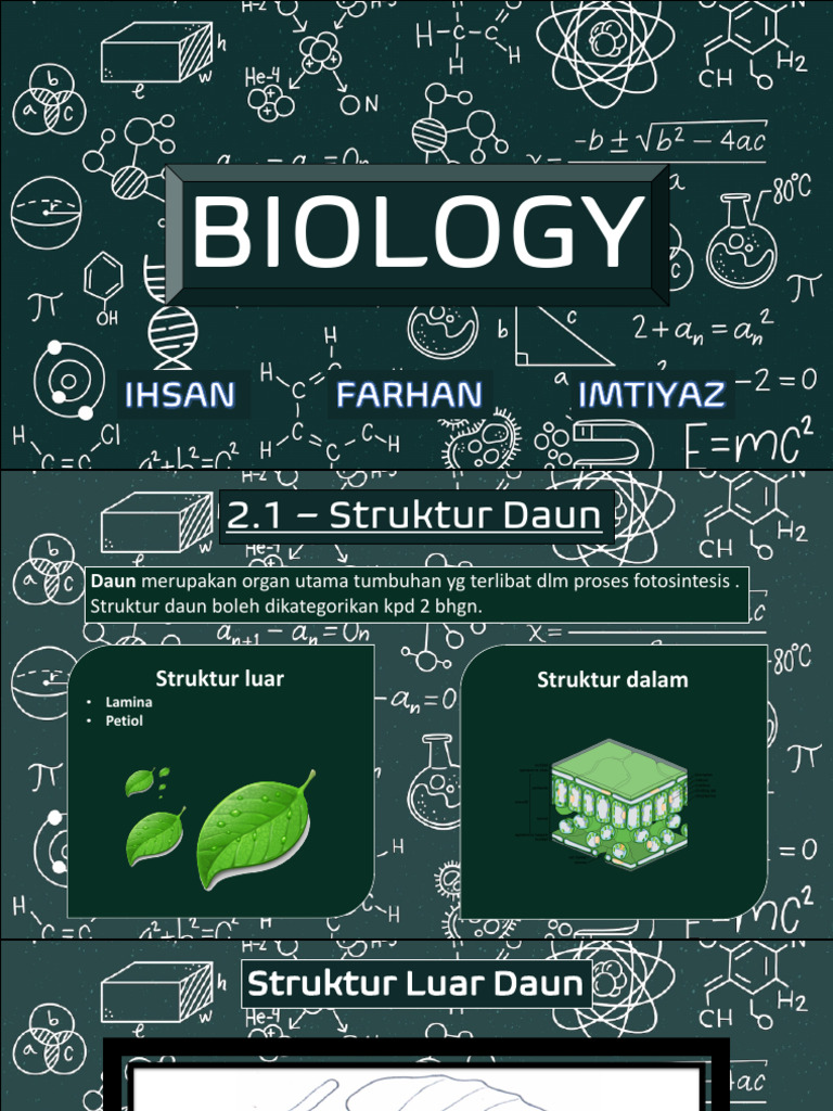 Bio Bab 2 | PDF