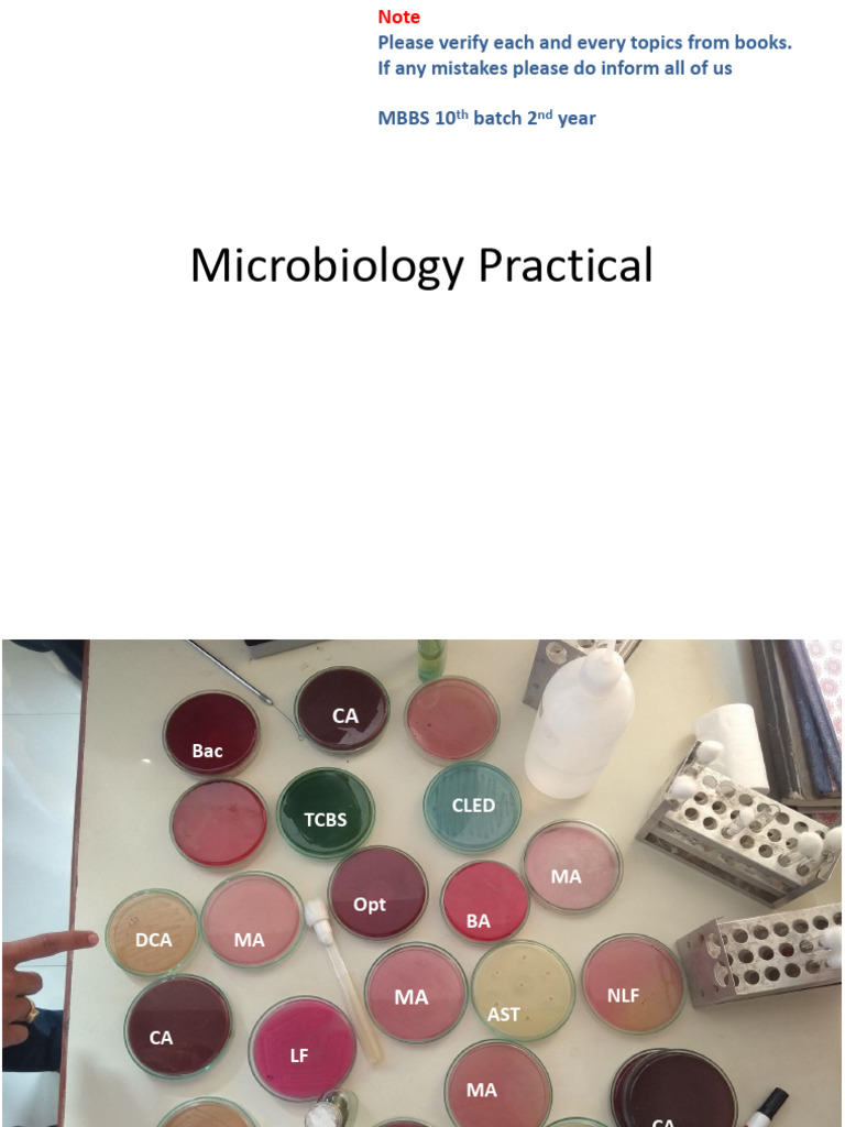 Micro Practical Spotter | PDF | Hydrolysis | Cell Nucleus