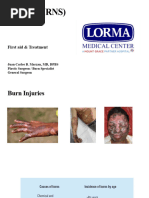 Flamazine® Cream for Burn Care | PDF | Wound | Dermatitis