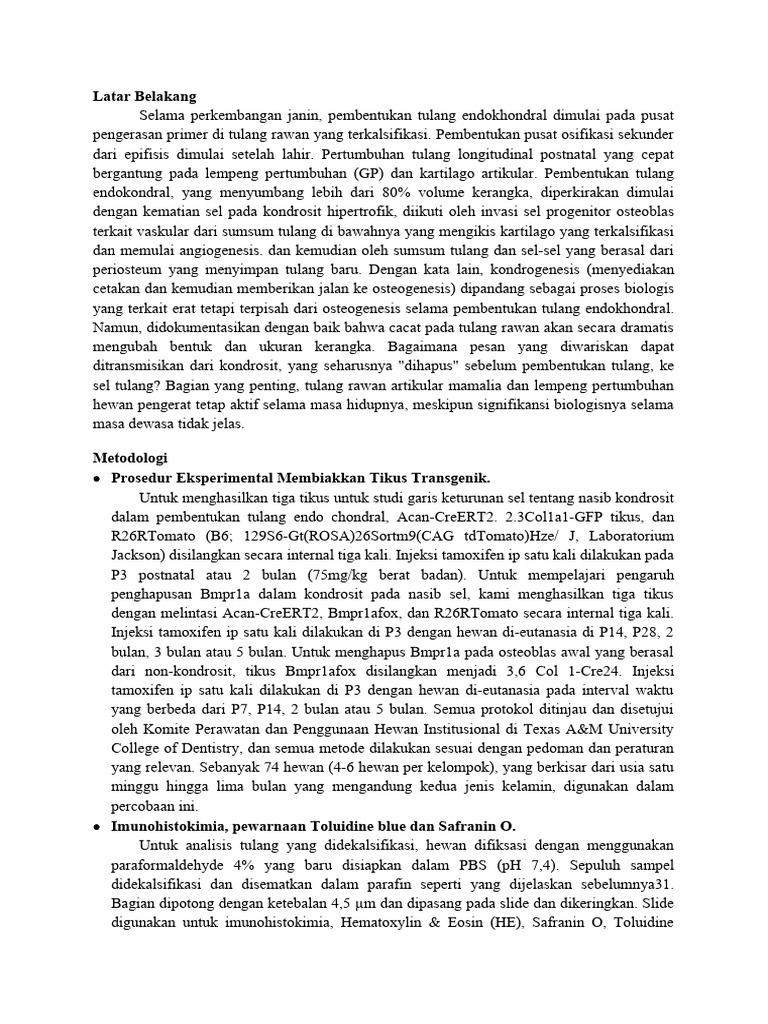 Transformasi Kondrosit ke Osteoblas | PDF | Kesehatan Holistik ...