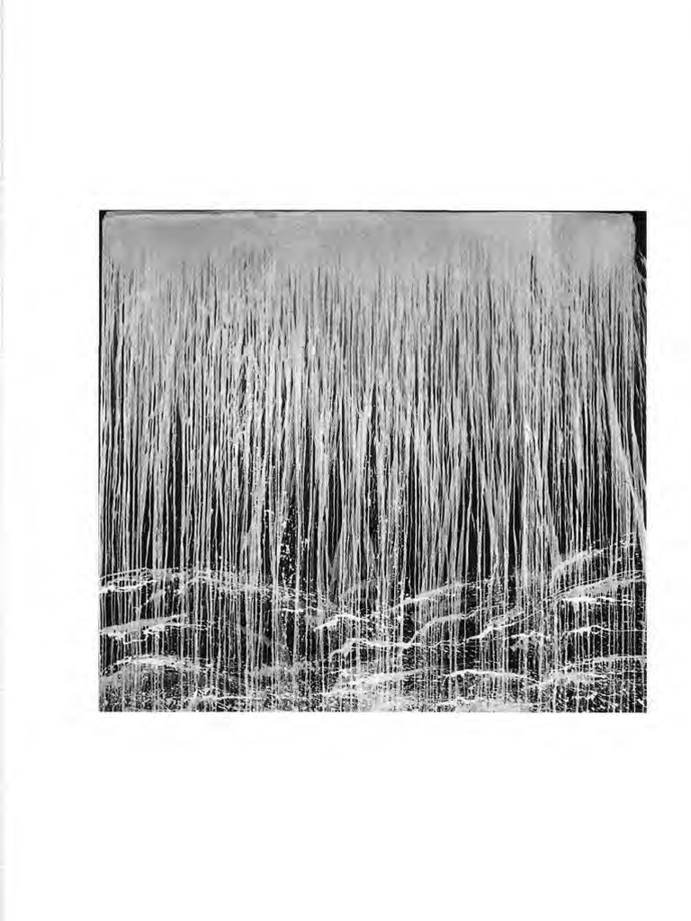 Jewel A Night Without Armor Poems | PDF | Poetry