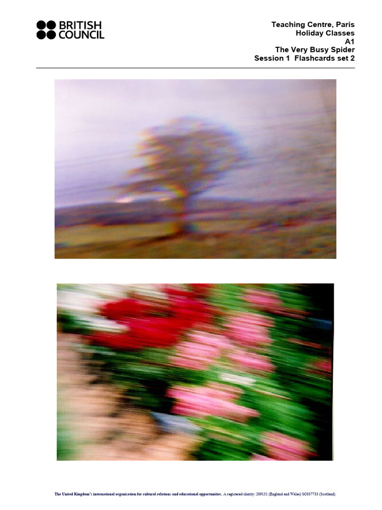 Flashcards Set 2 | PDF