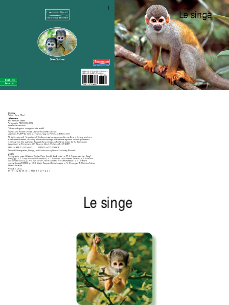 16 Monkey | PDF