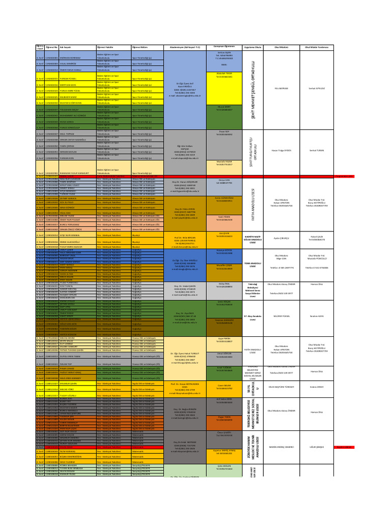 Staj Okulları | PDF