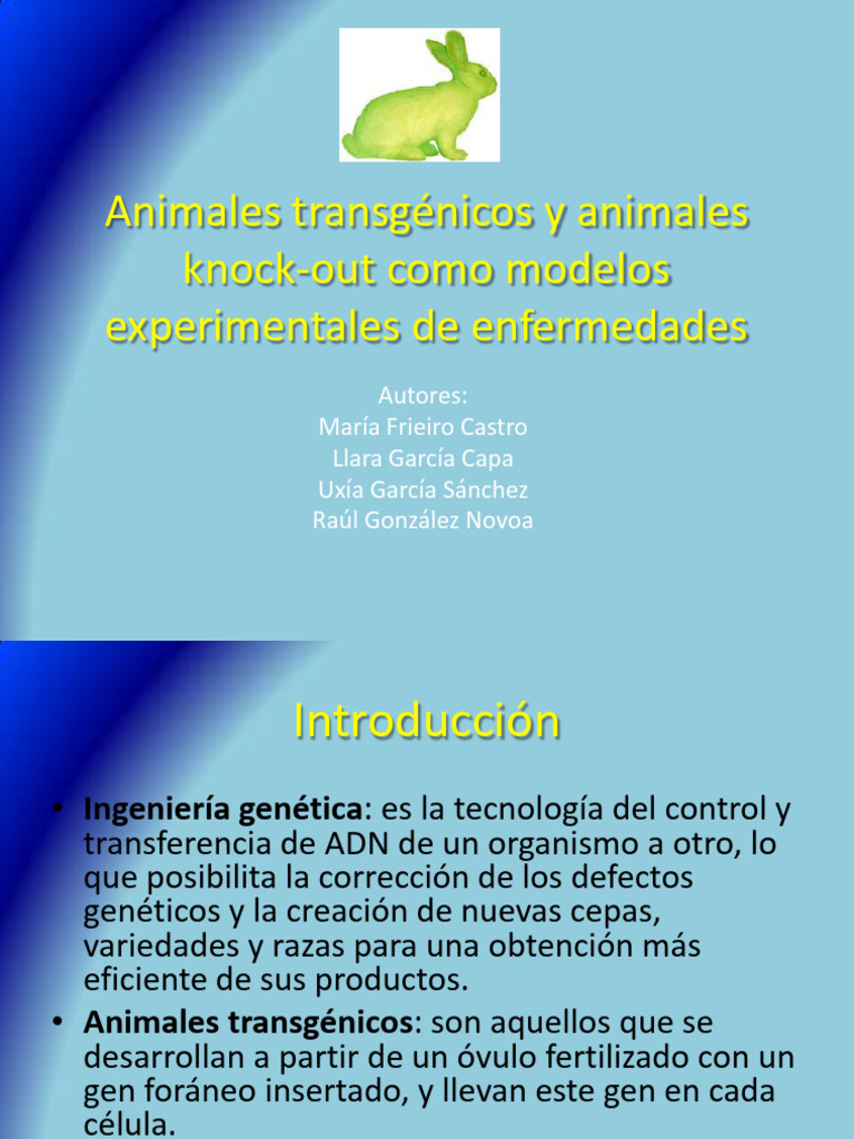 Animales Transgénicos y Animales Knock-Out Como Modelos Experimentales ...