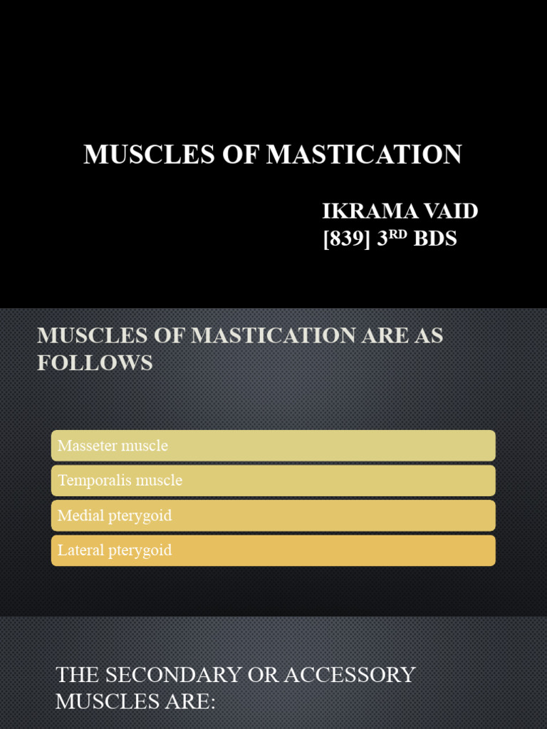 Muscle of Mast | PDF