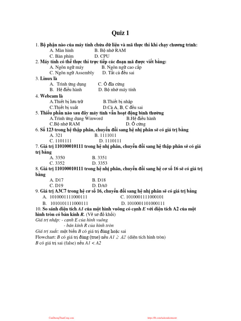 Nhap-Mon-Lap-Trinh - Tran-Giang-Son - Quiz-1 - (Cuuduongthancong - Com) | PDF