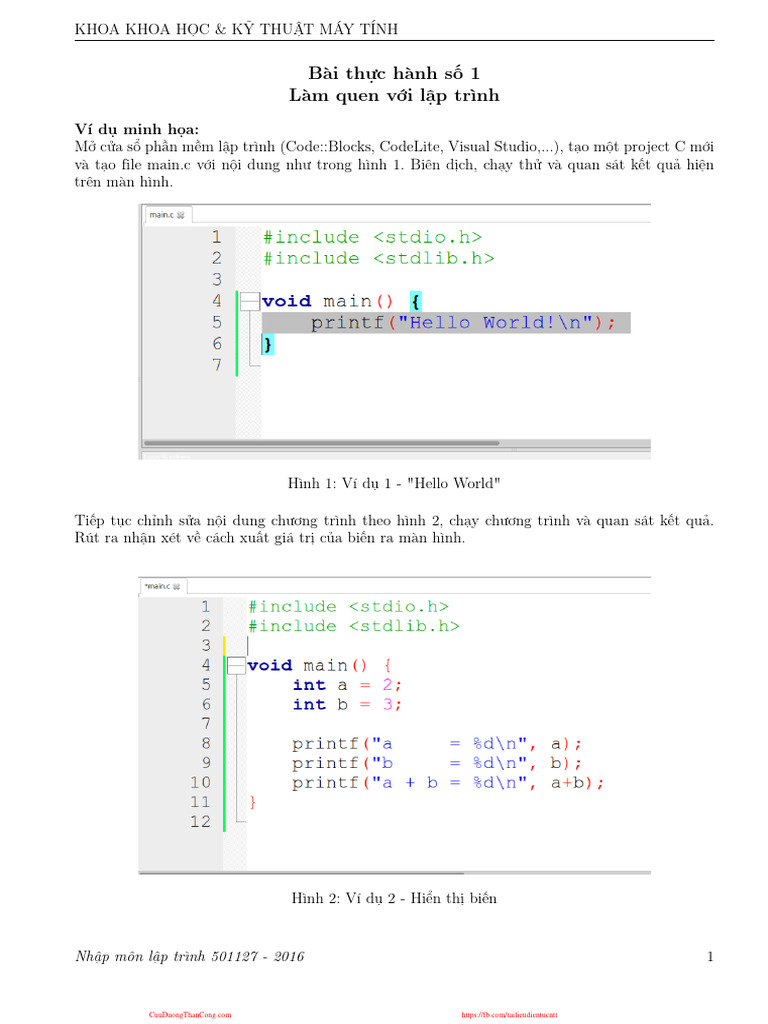 Nhap Mon Lap Trinh Tran Giang Son Lab1 (Cuuduongthancong - Com) | PDF