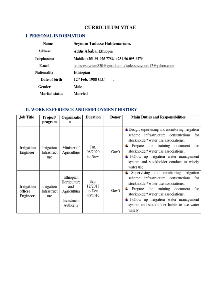 Curriculum Vitae: I. Personal Information | PDF | Engineering