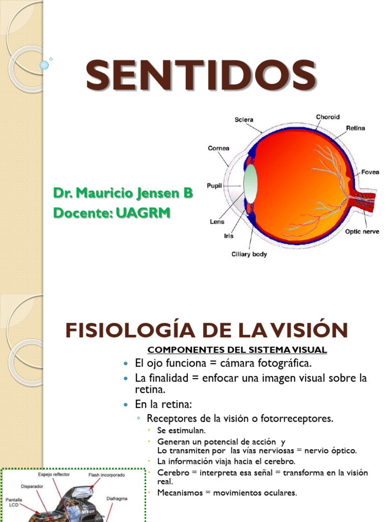 S.N.C. - Sentidos | PDF