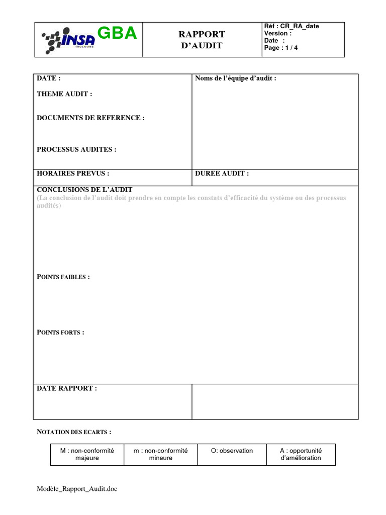Modèle Rapport Audit | PDF | Affaires