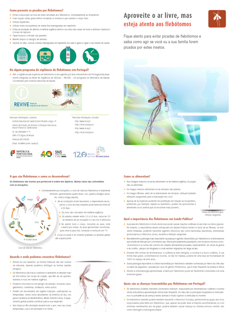 Flebótomos: Prevenção e Riscos à Saúde | PDF | Doenças e distúrbios ...