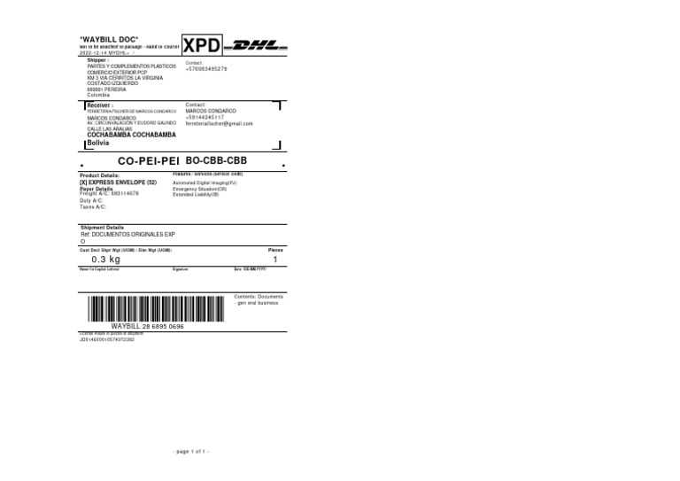 DHL Waybill for International Shipment | PDF