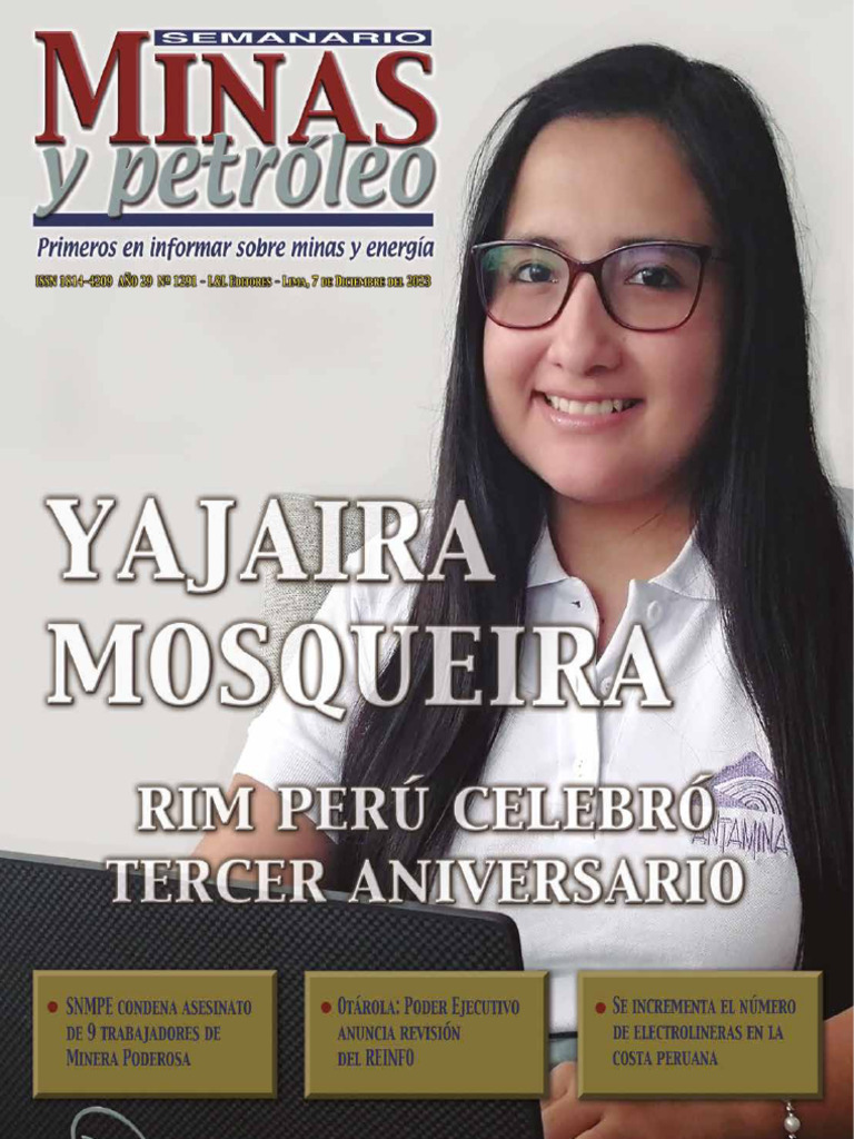 Minas y Petroleo 1291 | PDF