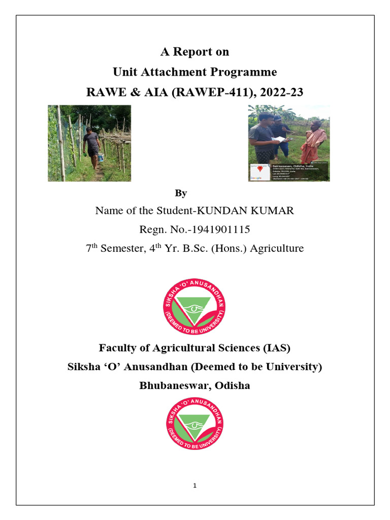 1115 Report | PDF | Fertilizer | Soil