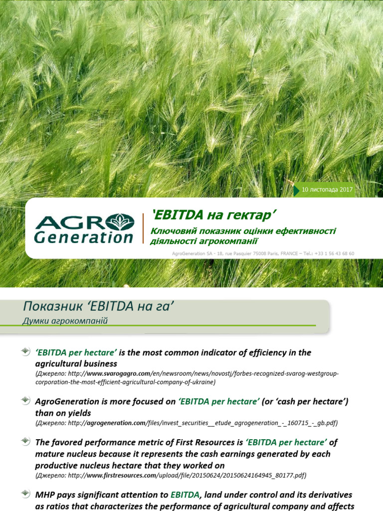 03 Bulavin Agrogeneration | PDF | Valuation (Finance) | Financial Markets