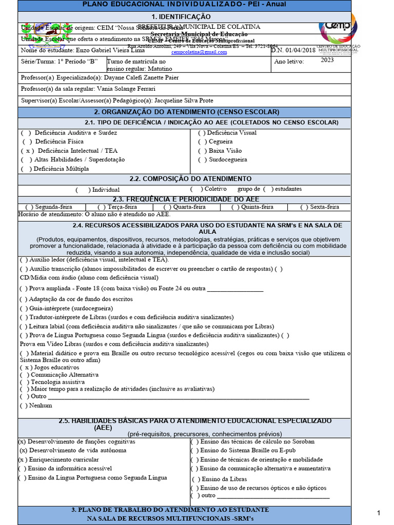 Plano Educacional Individualizado - PEI 2023 | PDF
