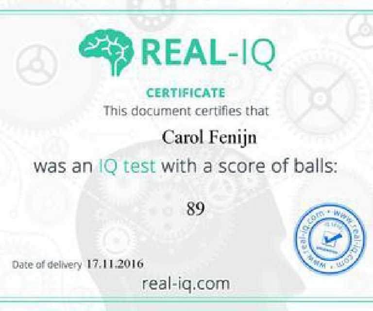IQ Certificate | PDF