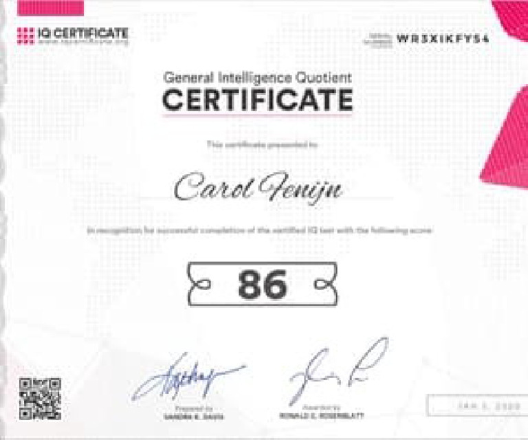 IQ Certificate | PDF